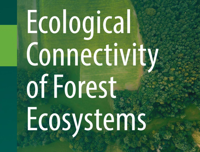 Ecological Connectivity of Forest Ecosystems - Coalition internationale ...