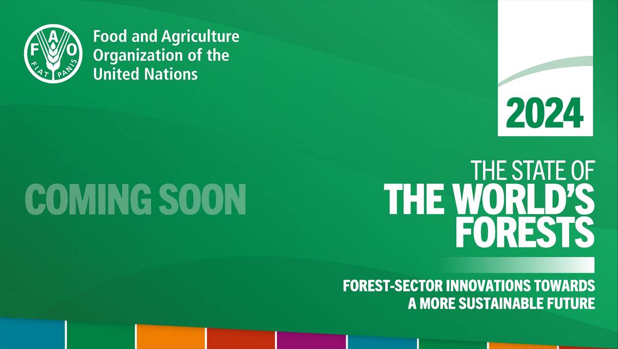 "The State of the World’s Forests 2024 : Forest sector innovations ...